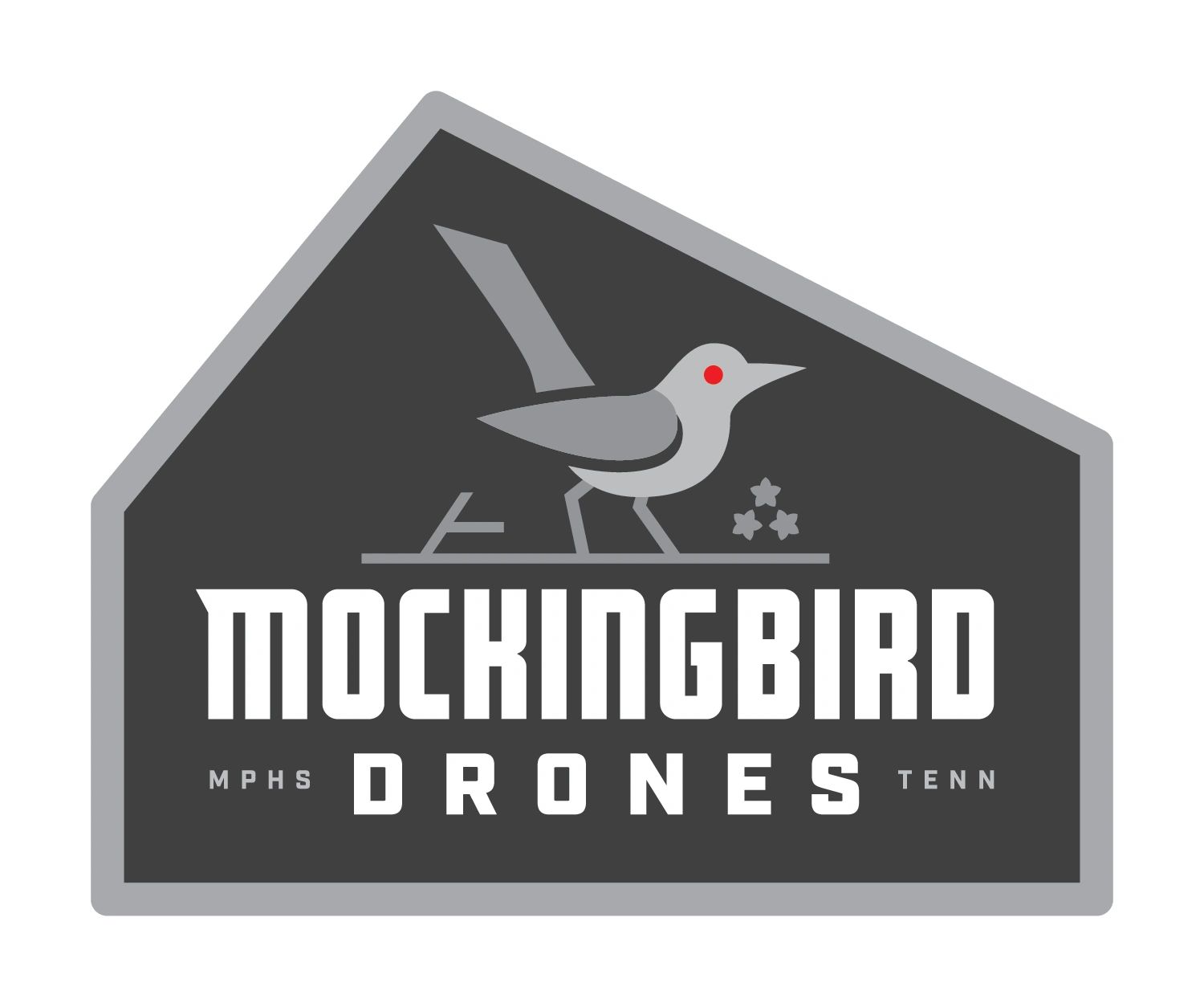 Mockingbird Drones